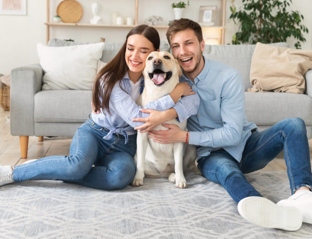 Garde d’animaux à domicile : Guide Complet • RoyalSitter